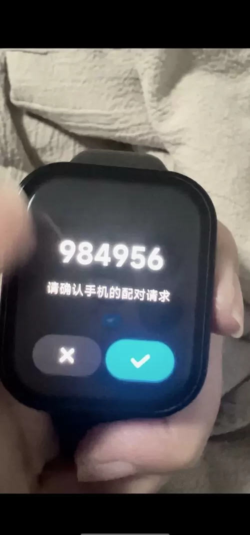手表恢复出厂设置后配对不了