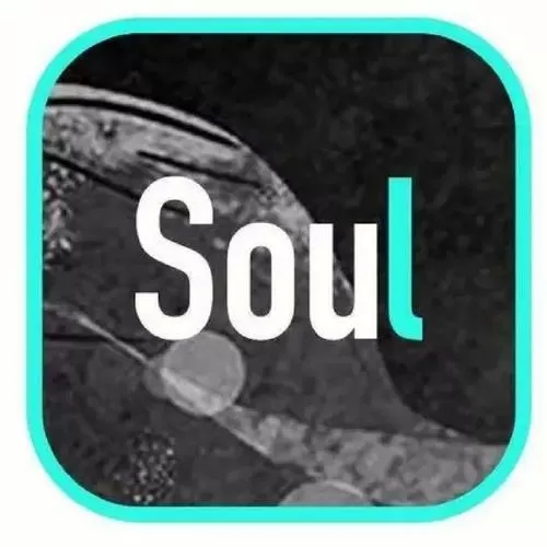 男的玩soul是正经人吗图标
