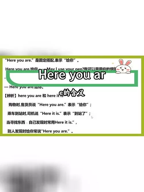 here are you的正确翻译图标