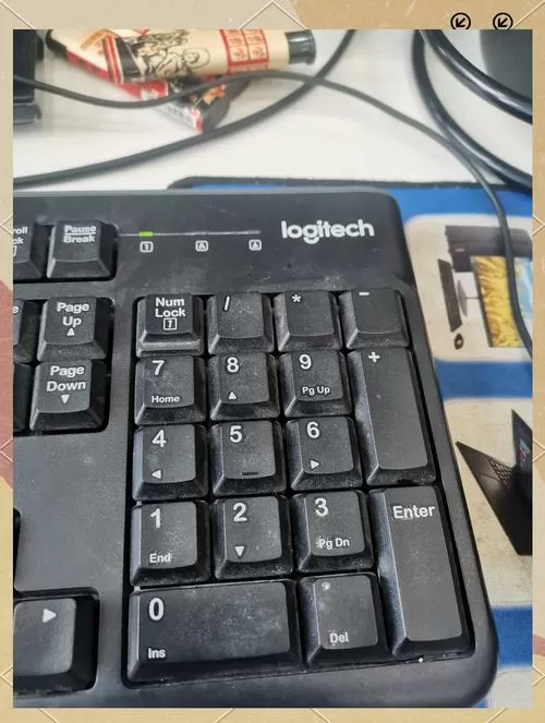 右侧小键盘数字键不能用