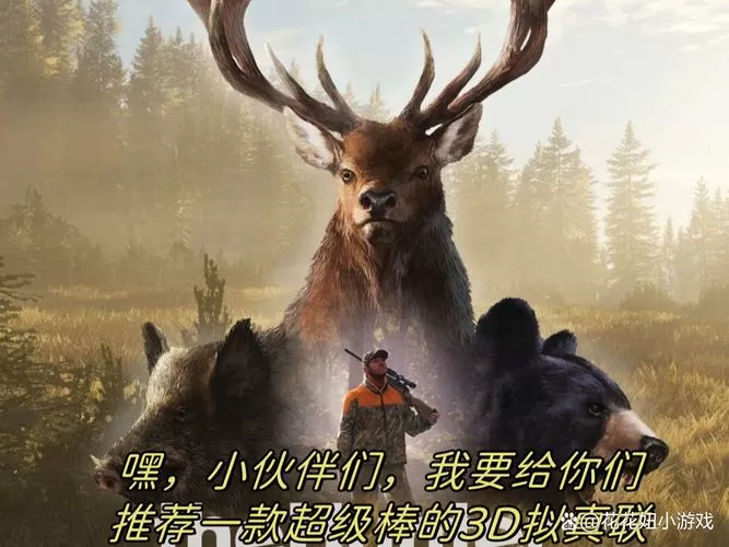 荒野的召唤联机