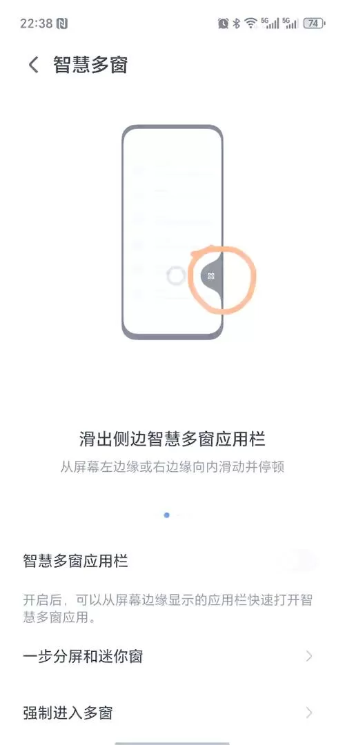 侧边栏开启了怎么不显示了图标