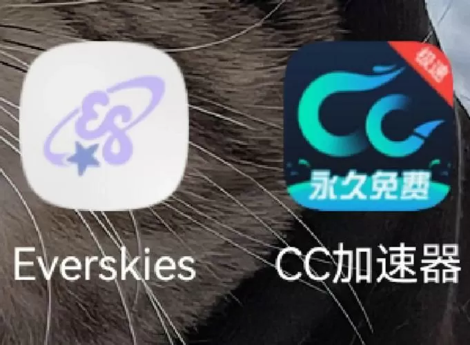 everskies中文版游戏截图