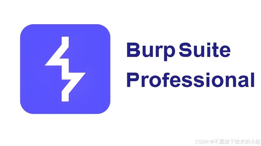 burpsuite官网下载图标