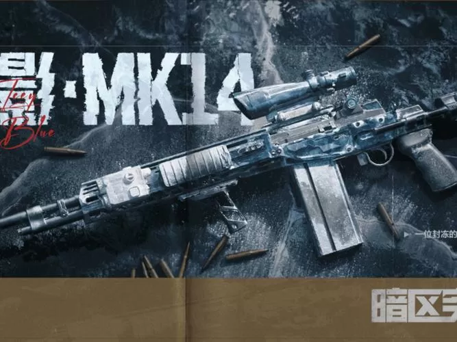 MK14公益直装PuBG