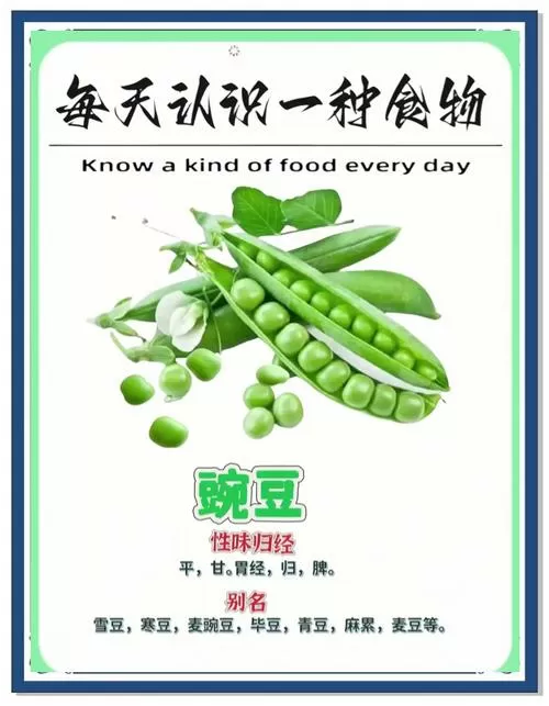 豌豆的功效与作用截图
