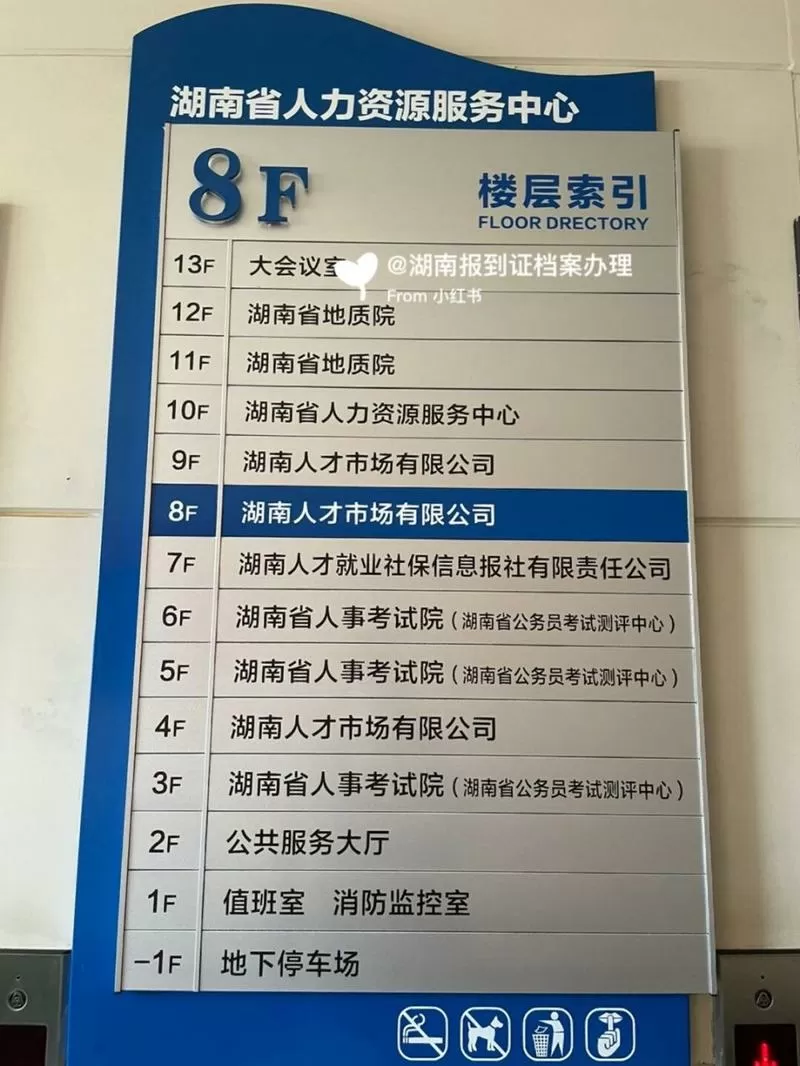 湖南人才市场档案查询截图