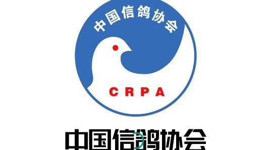 信鸽直播赛事直播图标