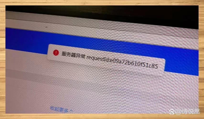 电子税务局打不开截图