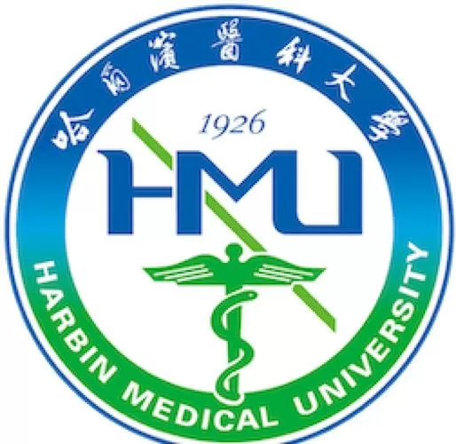 东北往事大庆在医院是多少集截图