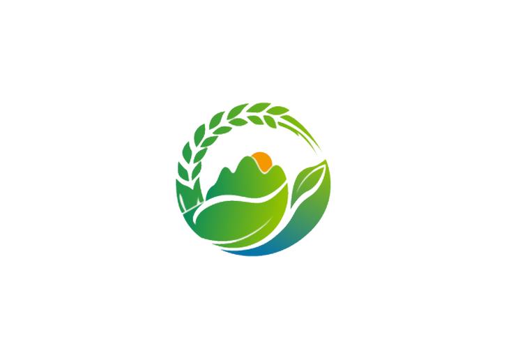 广东蒜苗截图