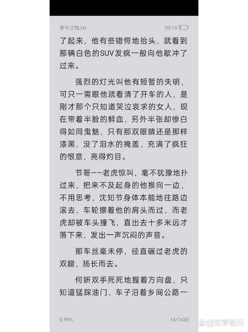 掌中之物未删减完整版图标