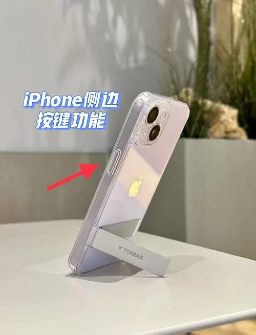 苹果X侧边键连按三次