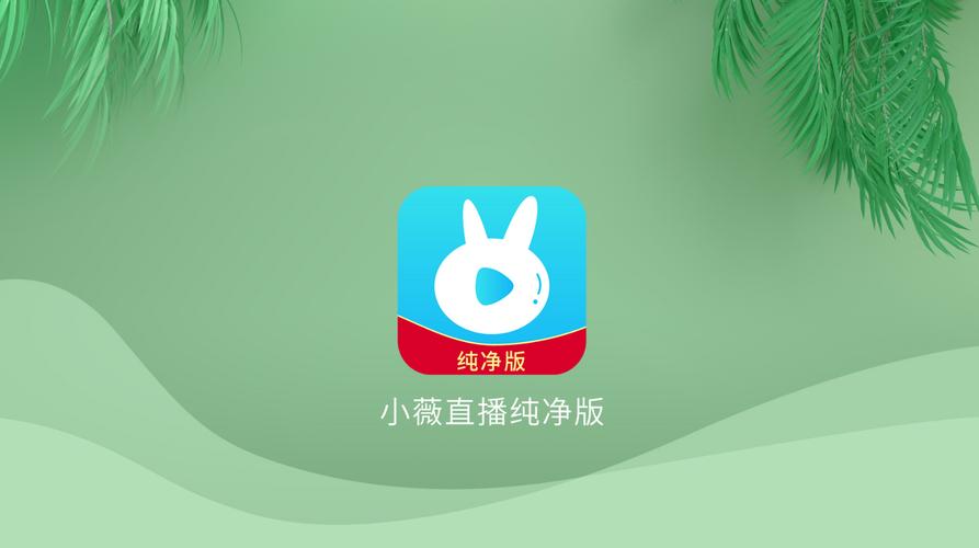 小薇直播tv电视版官方图标
