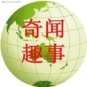 奇趣新闻图标