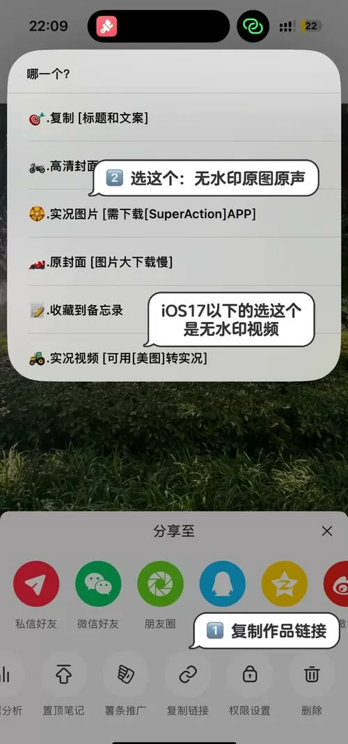 小红书怎么关闭自动保存相册截图