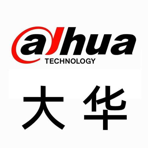 大华监控远程软件叫什么截图