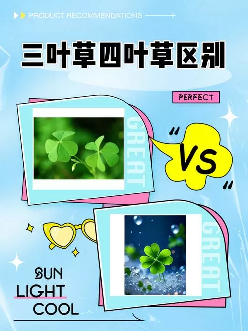 三叶草和四叶草哪个是幸运草截图