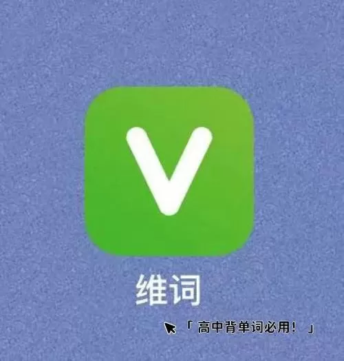 维词自动答题软件图标