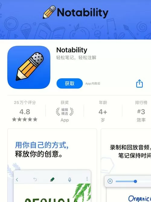 notability一次性付费吗