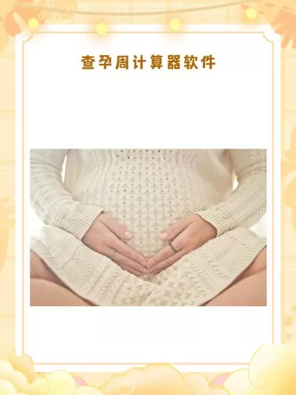 怀孕几周计算器在线计算游戏截图