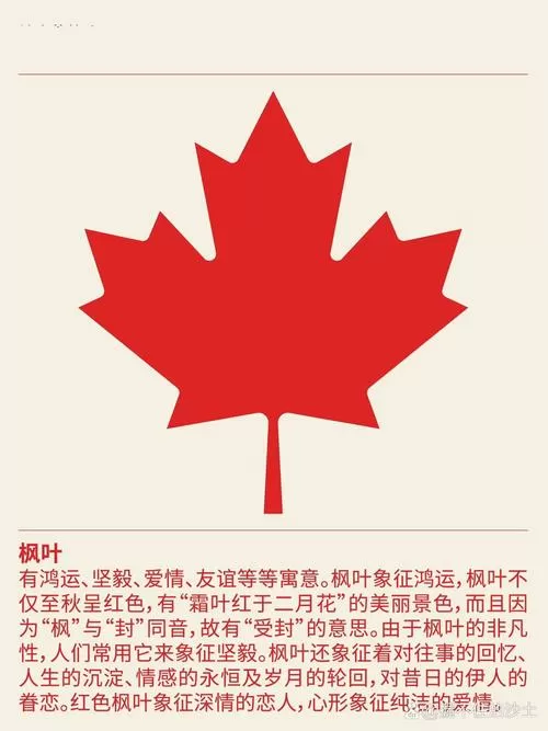 红枫叶怎么画图标