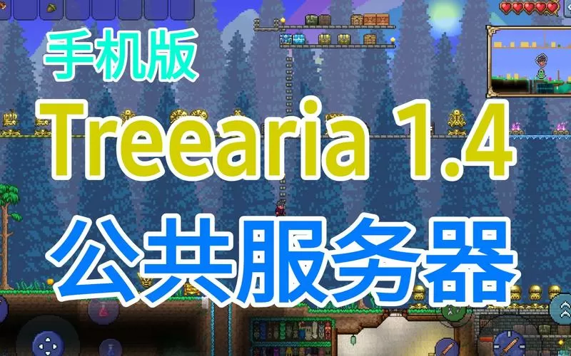 泰拉瑞亚开不了服务器截图