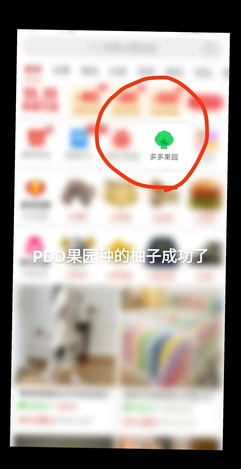 拼多多农场怎么没有vip了图标