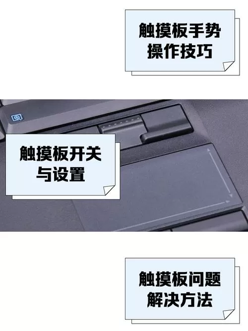 笔记本自带鼠标触摸板怎么开图标