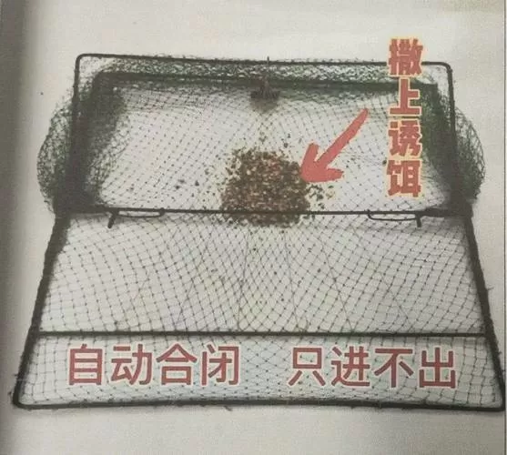 夜晚抓野鸡神器图标