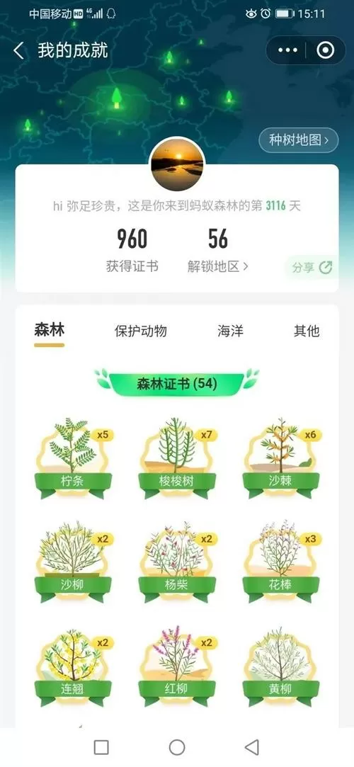 支付宝种树背后的本质