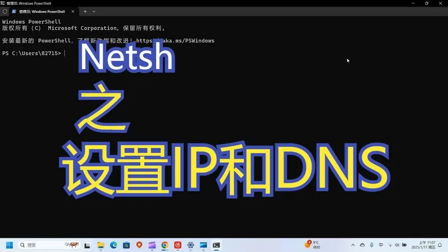 netshare汉化破解版图标