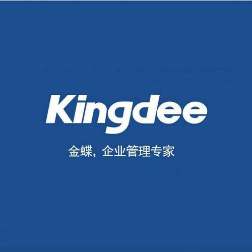 金蝶kis专业版10.0破解版截图