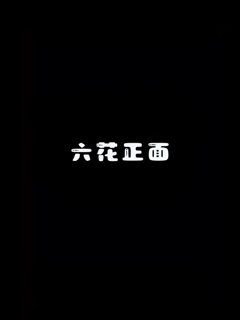 六花端口6.0最新版本图标