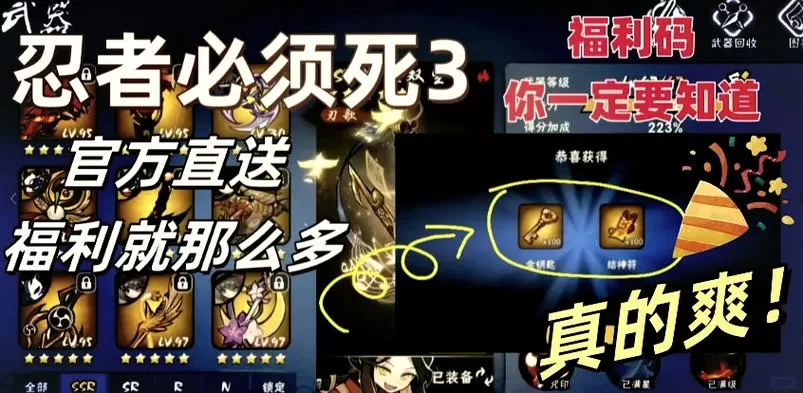忍3兑换风纹石激活码2021截图