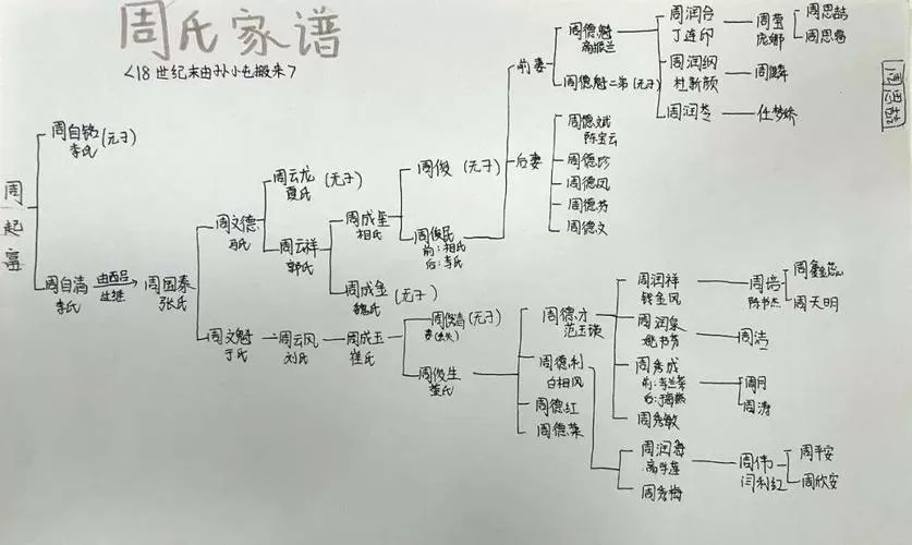 族谱世系图截图