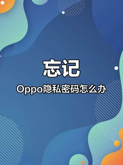 把隐私密码忘了怎么办截图