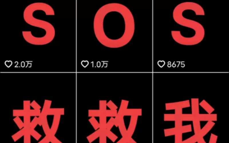 问题悬赏怎么发布的图标