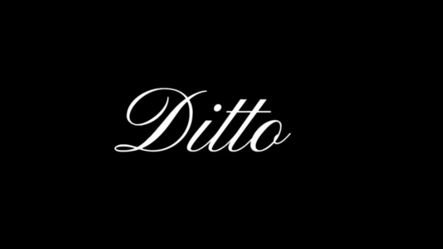 ditto官方下载图标