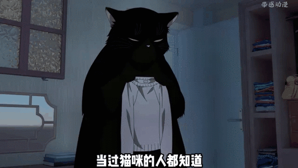 黑猫小故事gif截图