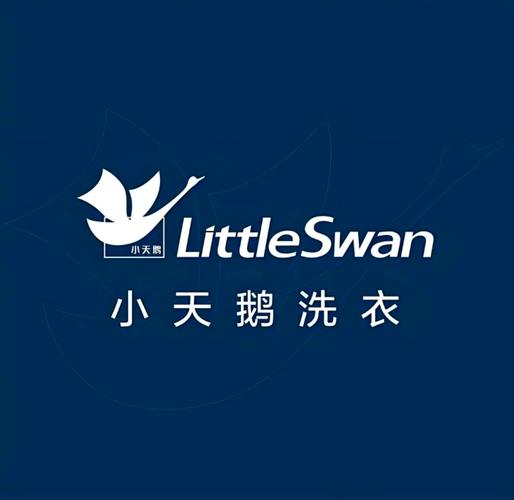 小天鹅家政公司