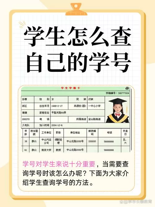 小学编号怎么查询
