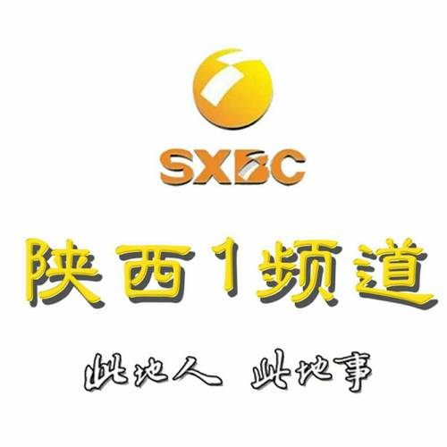 陕视新闻直播回放图标