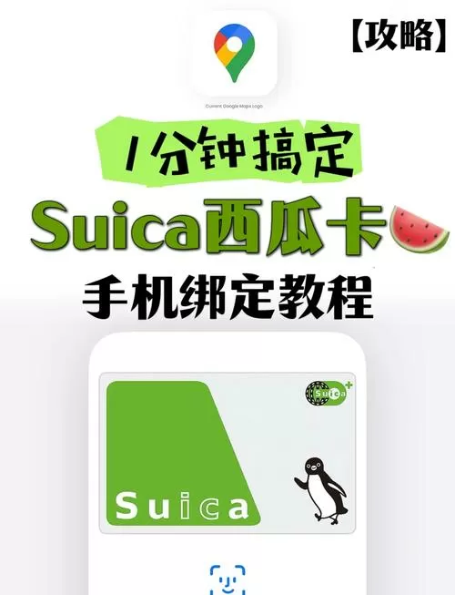 什么卡西瓜视频免流量图标