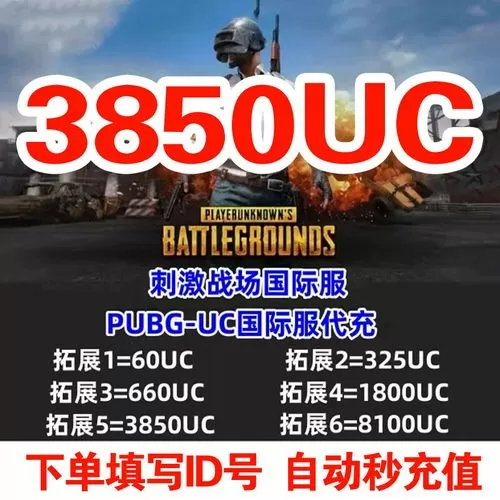 pubg直充入口图标