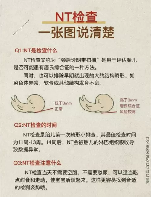 nt系统引导自动修复要多久