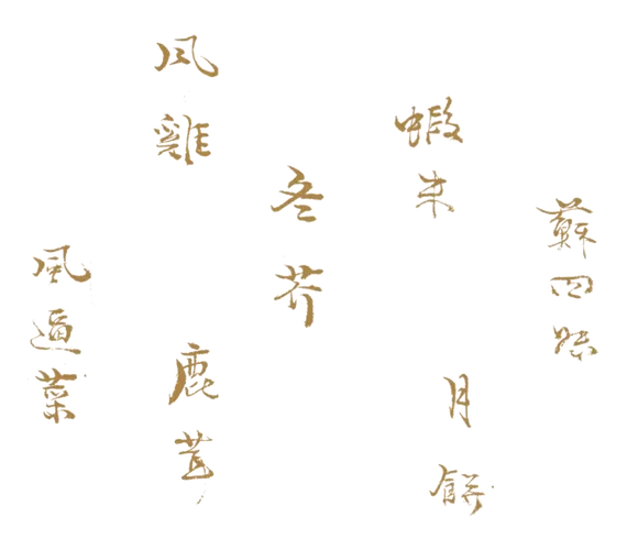 入赘为婿岳风546章图标