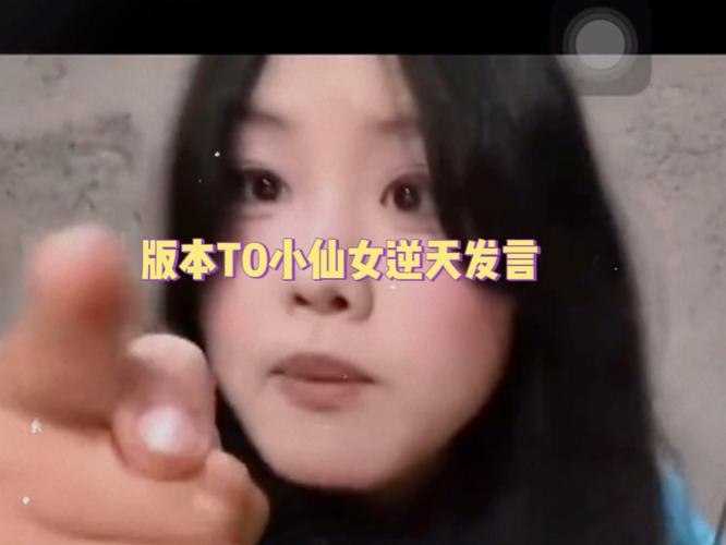 小仙女版本T0表示什么含义截图