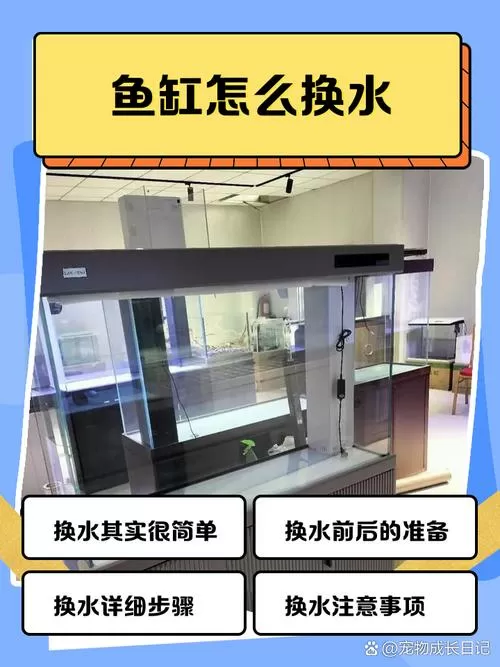 鱼缸换水怎样让水温一致