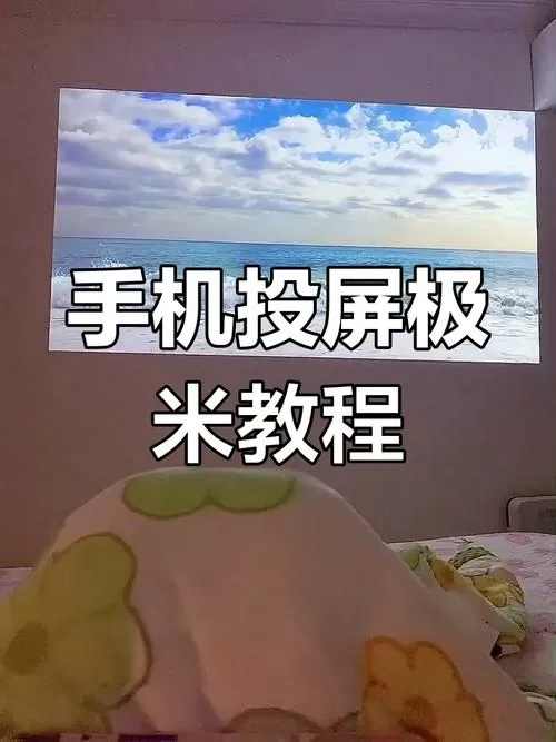 手机投屏极米投影仪怎么设置图标
